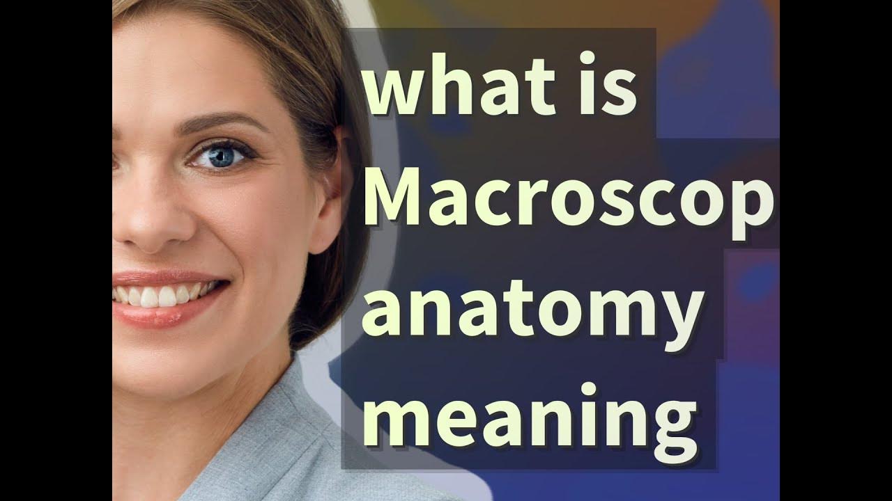 Macroscopic Anatomy Meaning Of Macroscopic Anatomy YouTube macroscopic-anatomy-meaning-of-macroscopic-anatomy-youtube