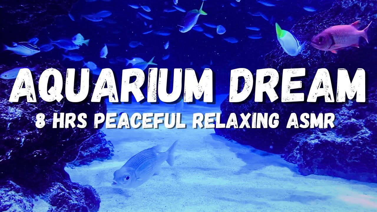 Sea Aquarium: Underwater asmr, The Most Relaxing Thing You'll Hear All ...