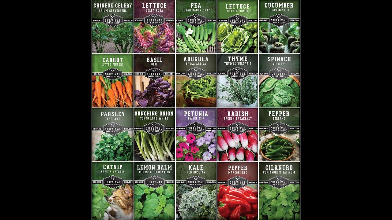 Survival Garden Seeds Vegetable Garden Collection Review and Unboxing ...