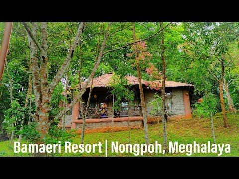 Experience Pure Bliss at Bamaeri Resort | Places To Visit In Northeast ...