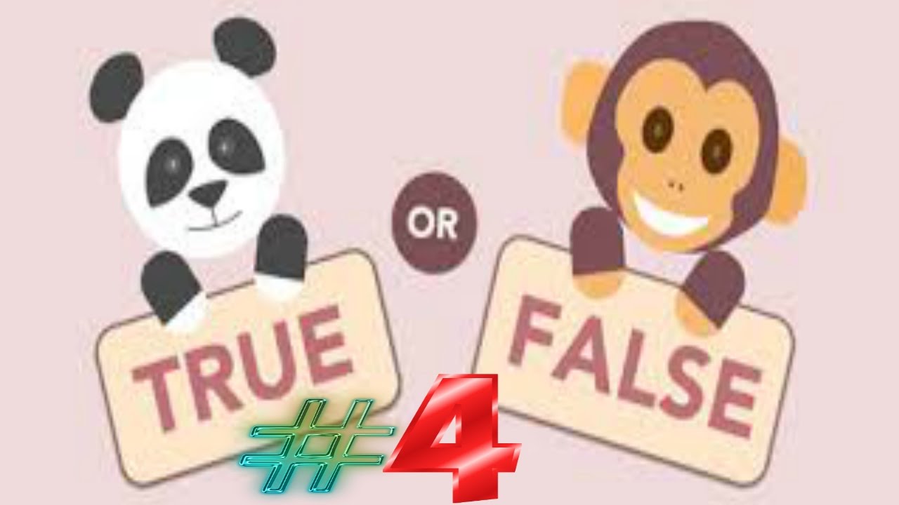 True Or False # 4 - Amazing Question - YouTube
