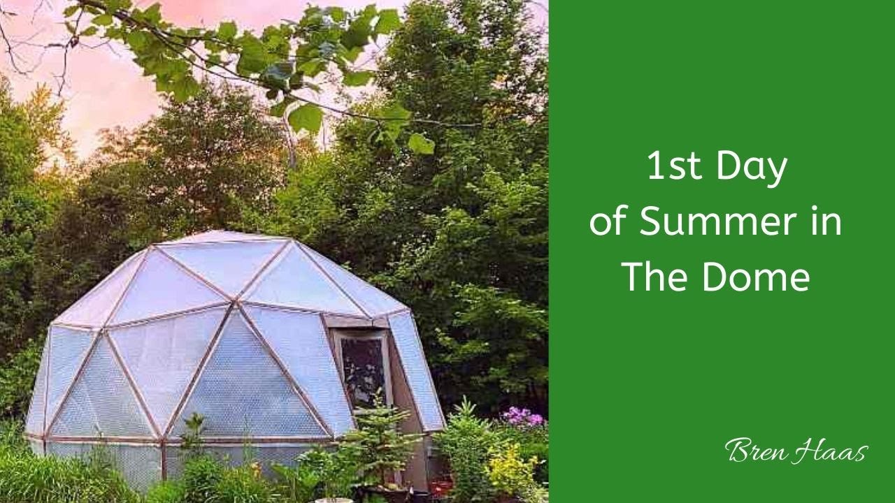 First Day Summer in Dome update 2020 - YouTube