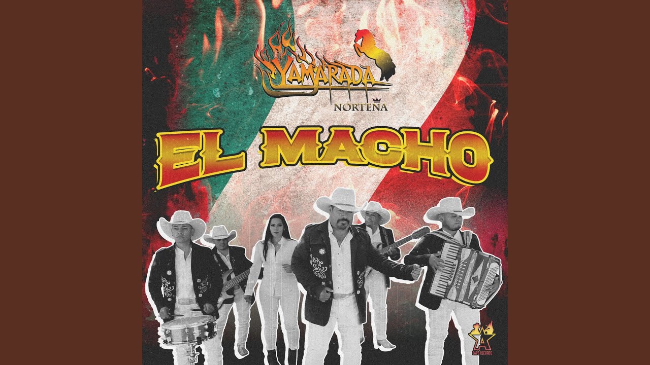 El Macho - YouTube Music