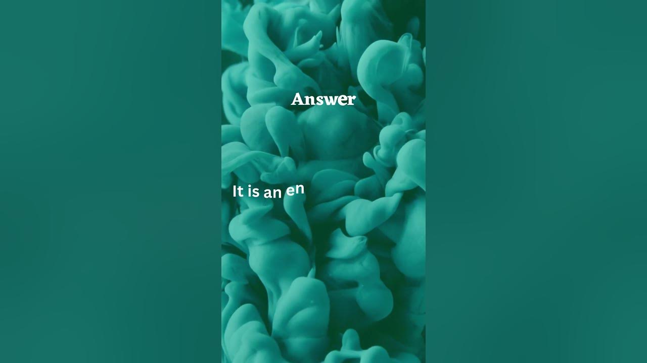 Manual Testing Interview Questions Youtube