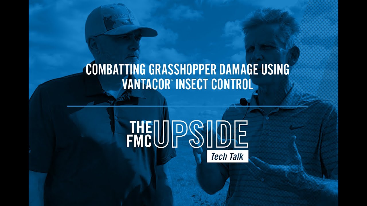 Combatting Grasshopper Damage Using Vantacor® Insect Control - YouTube