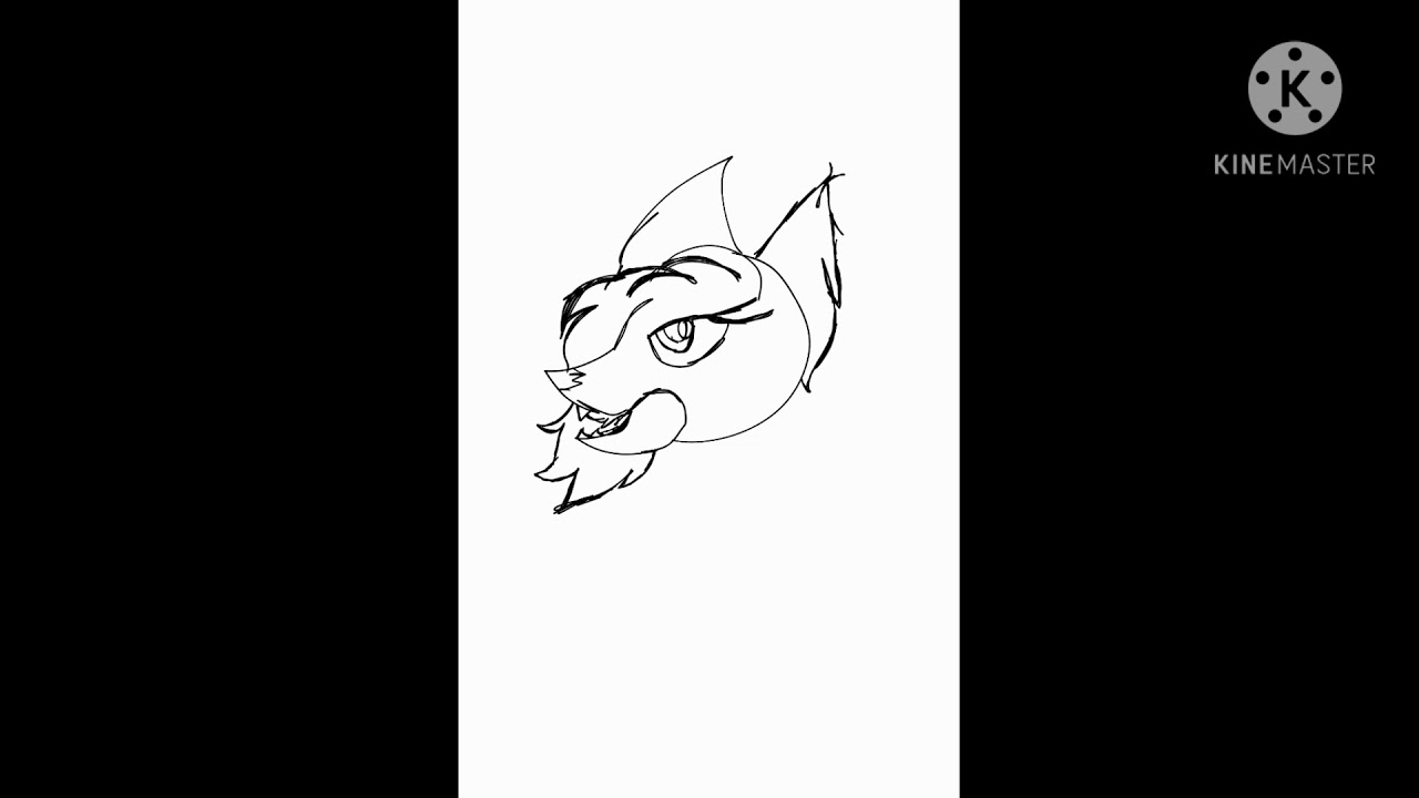 gift for wolfox animation studio - YouTube