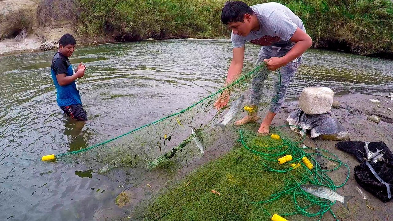 PESCA CON RED EN RÍO - PESCA DE LANGOSTINOS - YouTube