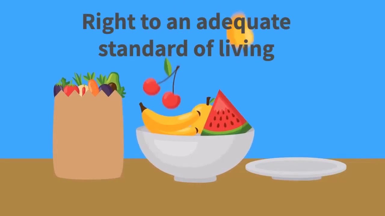 Introduction to Economic, Social and Cultural Rights - YouTube