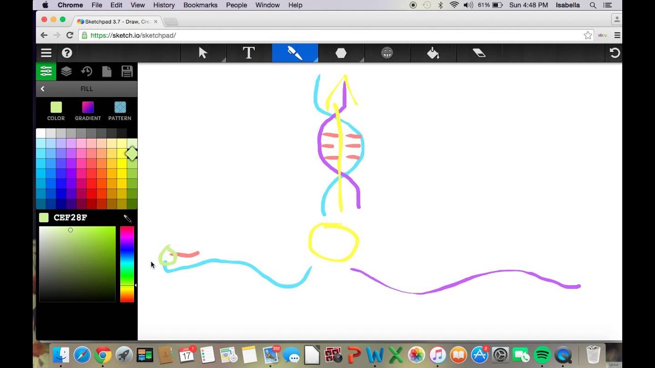 IBDP Biology Topic 7.1 DNA Replication student explanation via ...