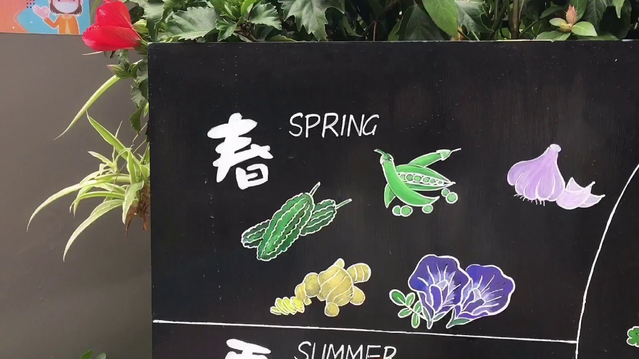 Urban farm garden at yoho mall - YouTube