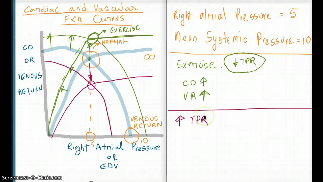 Easy Ways to Understand Cardiac and Vascular Function Curves - YouTube