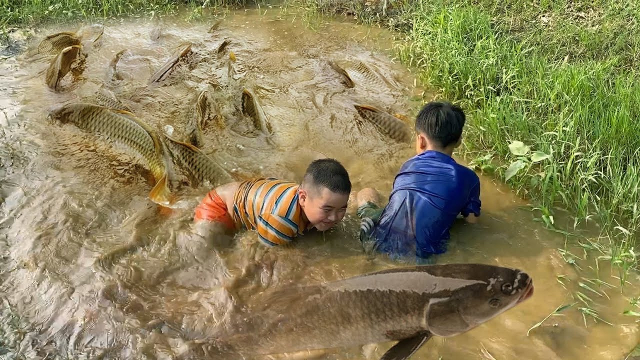 Amazing Fishing Video | Traditional Boy Catching Fish By Hand in Pond ...