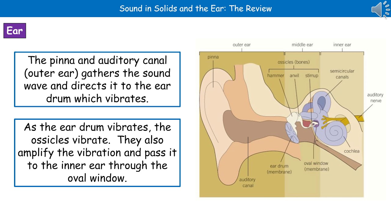 OCR Gateway A P5.1.4 - Sound in Solids and the Ear - YouTube