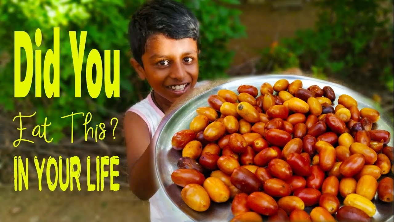 Eecham palam Dates harvesting in amazing village by my son Little Chef ...