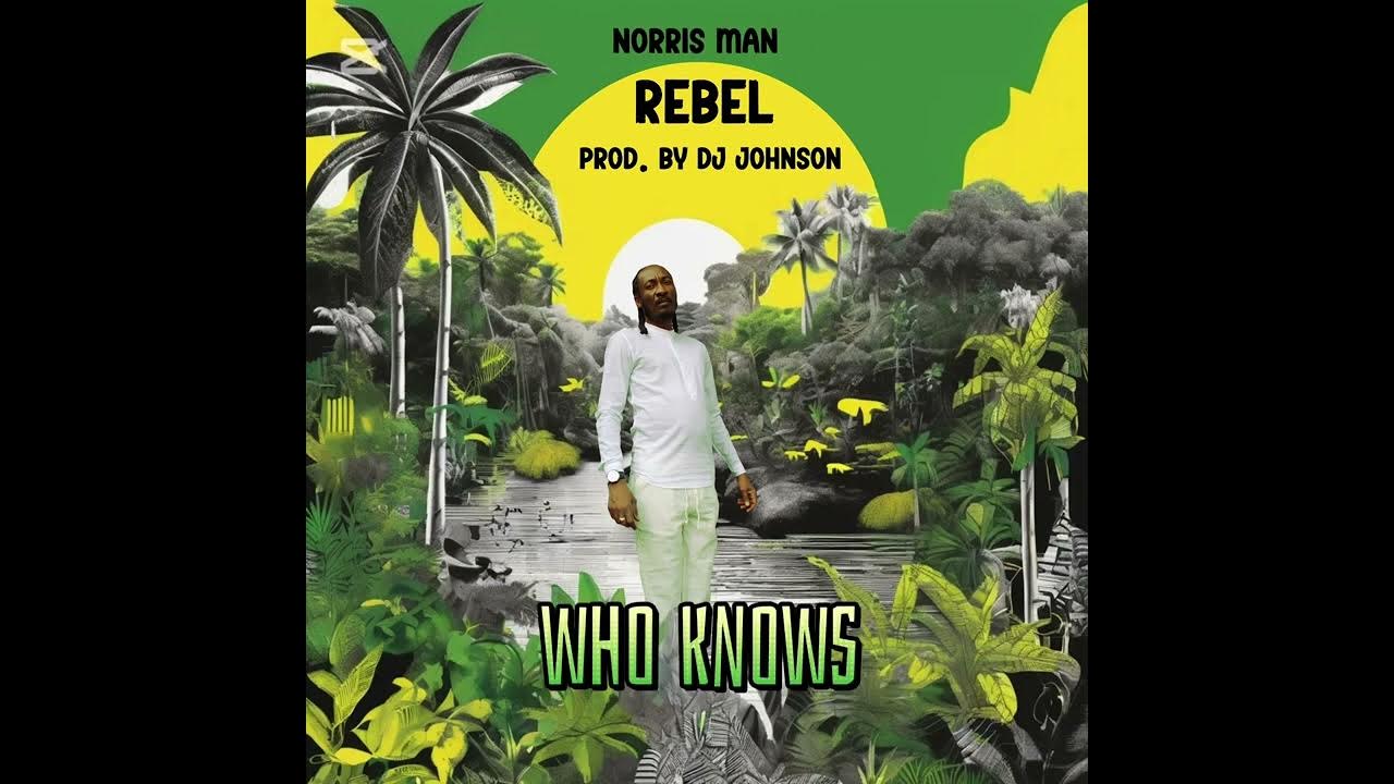REBEL - Norris Man & DJ Johnson (Skankin’ riddim) roots reggae stepper 2025 - YouTube