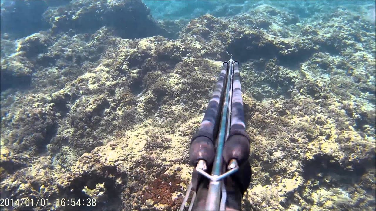 Ρηχό ανοιξιάτικο ψαροντούφεκο - Shallow spearfishing - YouTube
