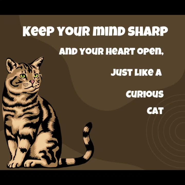 Stay Curious & Open-Hearted. Mr. Bink🐾 - YouTube