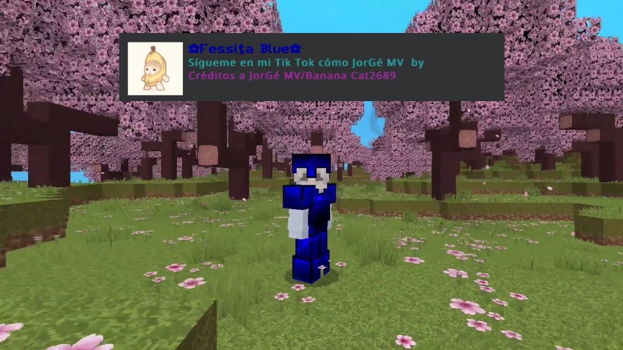 texture pack for minecraft bedrock 1.20 pvp | Fessita Blue 64x - YouTube