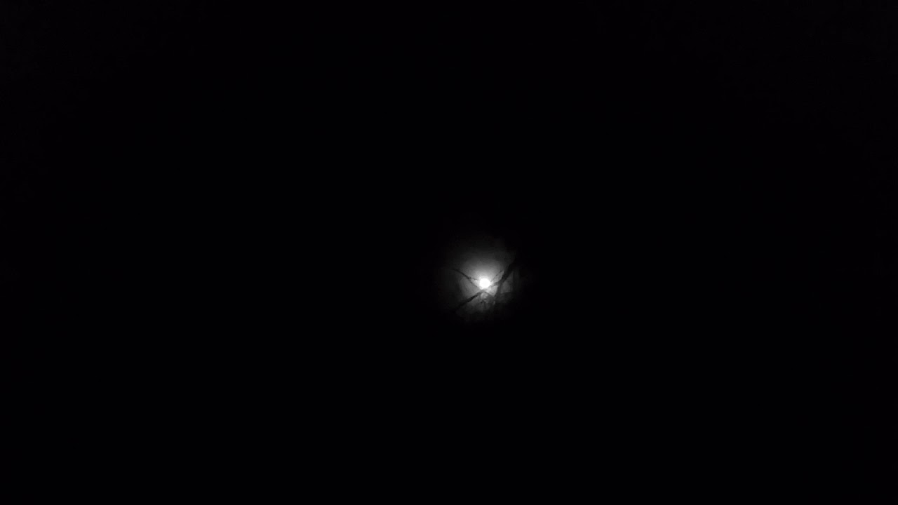 It's an Eerie & Still Night, & The Moon Is WAAAY Too Bright! - YouTube