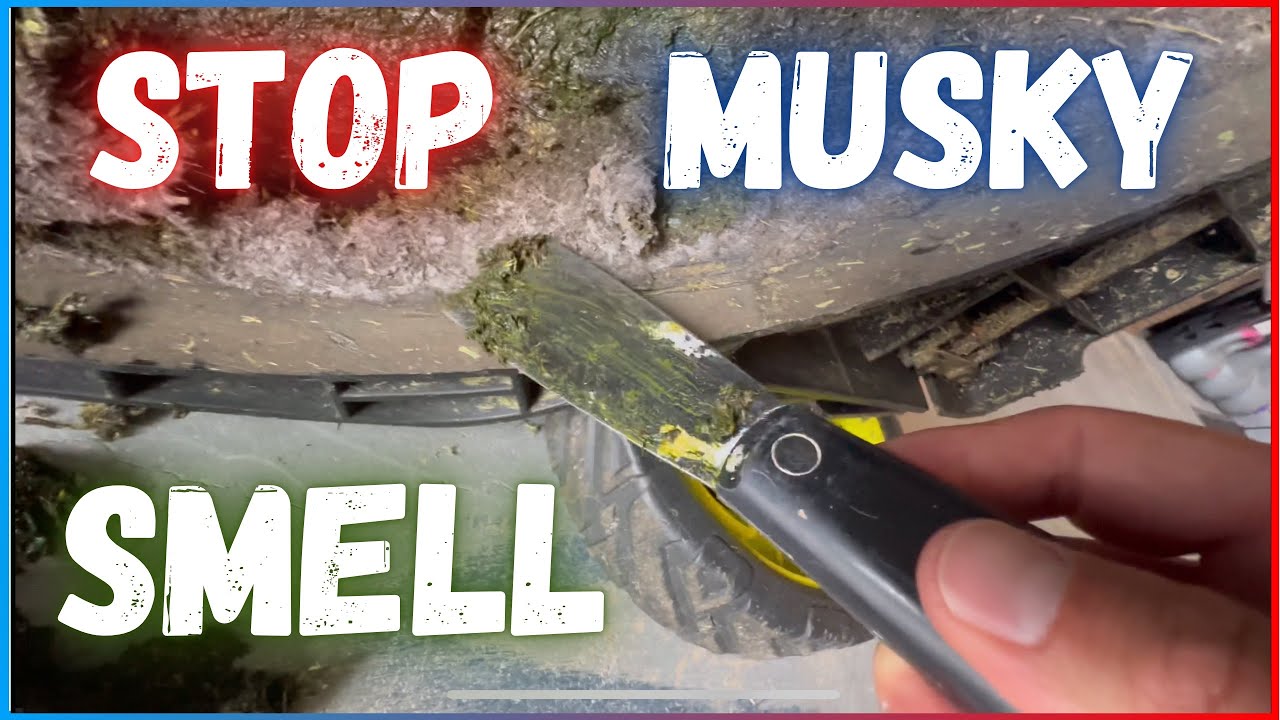 How To Stop Musky Smell In Garage or Shed - YouTube