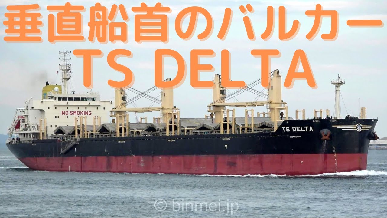 TS DELTA - DALIAN TIGER SHIPPING LIMITED, bulk/lumber carrier - YouTube