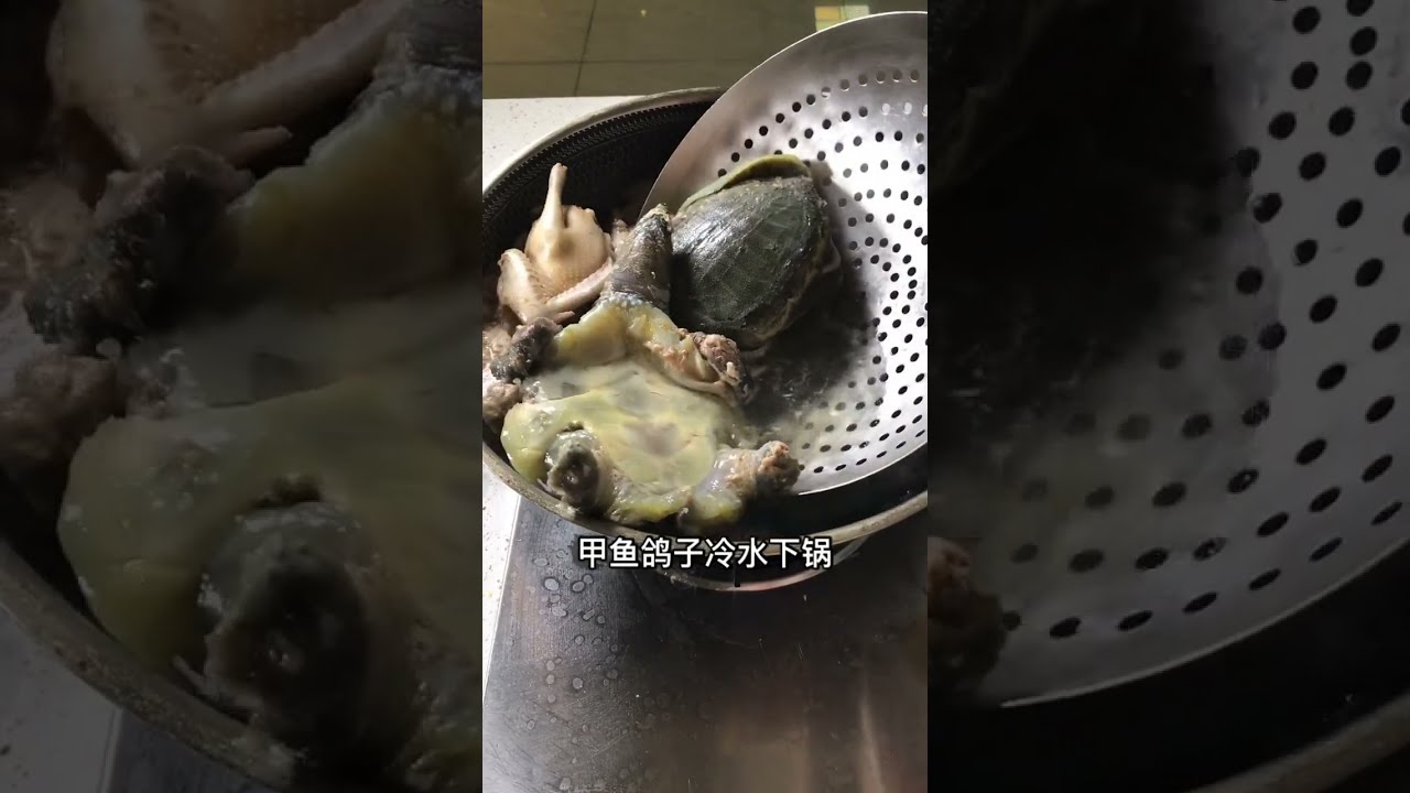 Soft-shelled turtle soup recipe - YouTube
