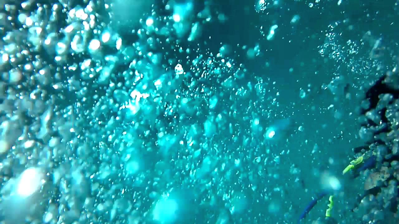 Scuba Diving off miami beach 4 - YouTube
