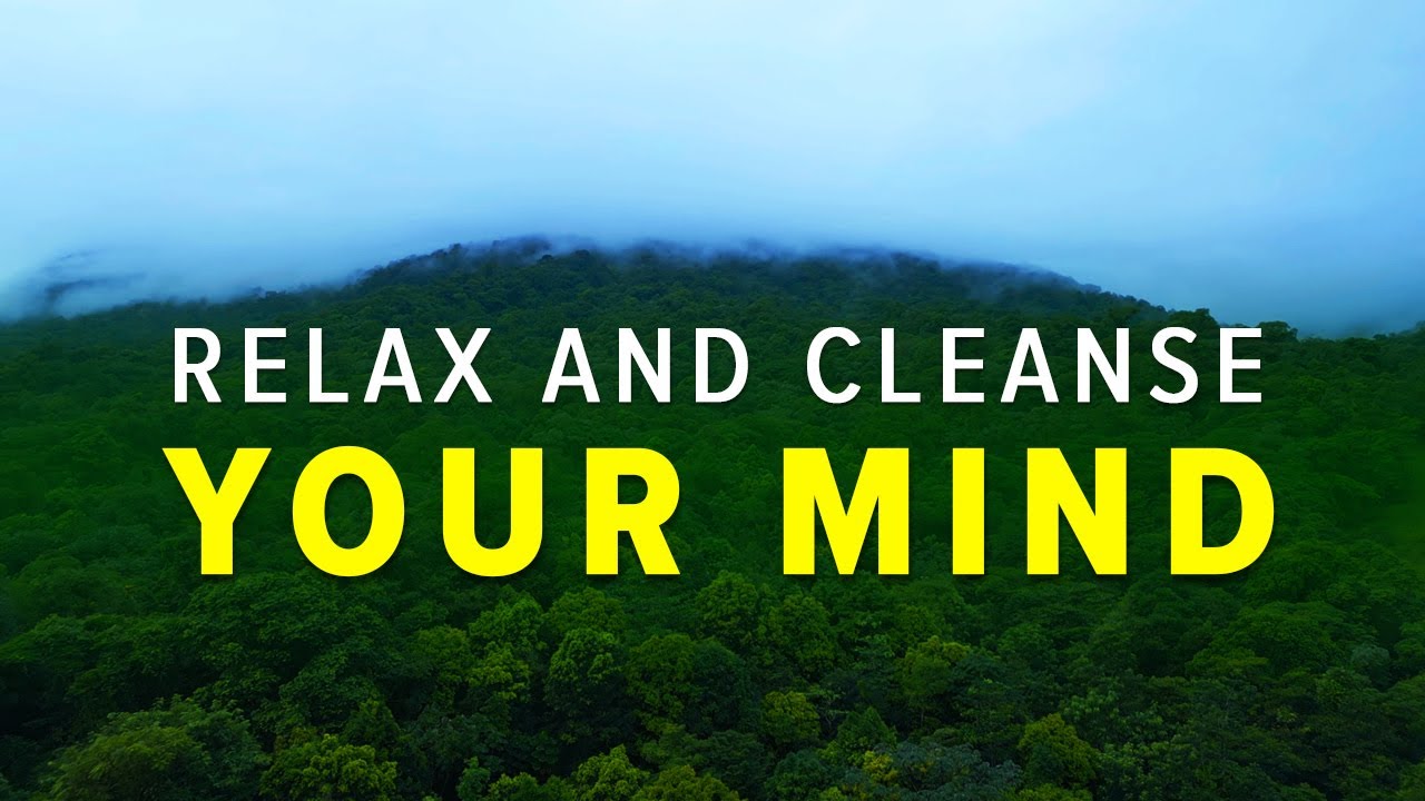 Get Rid of Negativity: Relax and Cleanse Your Mind with Self-Cleaning ...