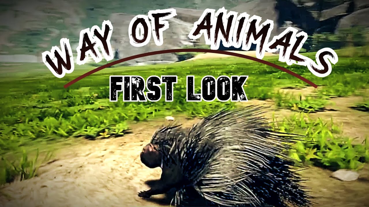 Way of animals - First Look - They have a Porcupine !!! - YouTube