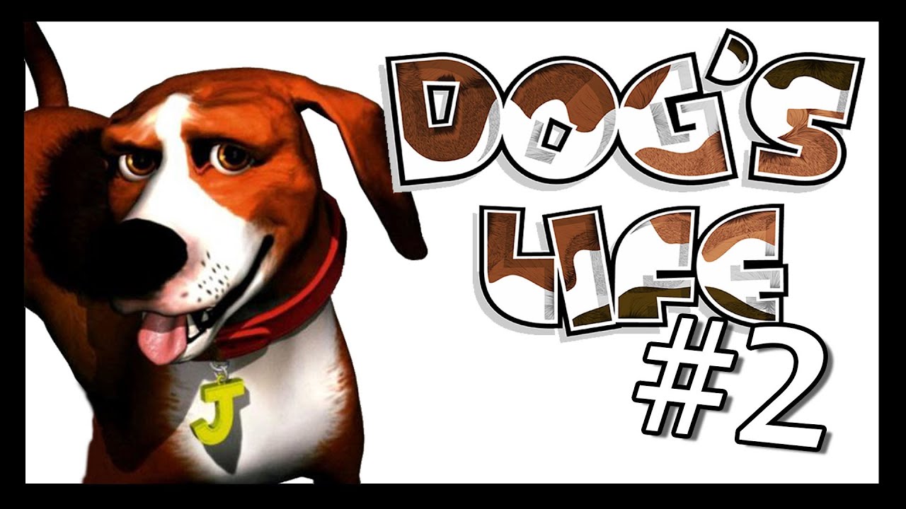 Dog's Life [Part 2] - YouTube