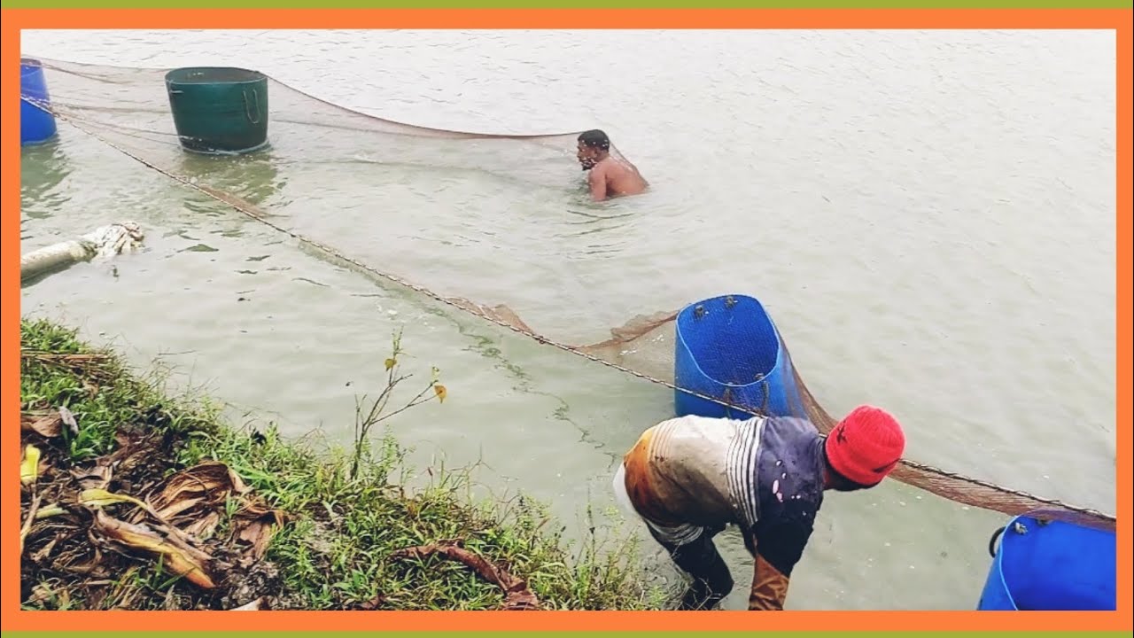 Trawling fishing with nets - YouTube