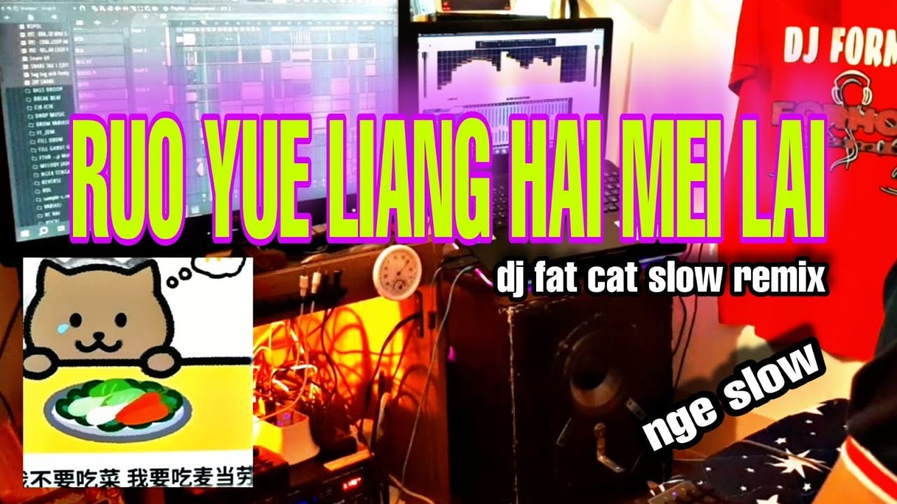 DJ FAT CAT YANG LAGI VIRAL DI TIK TOK RUO YUE LIANG HAI MEI LAI - YouTube