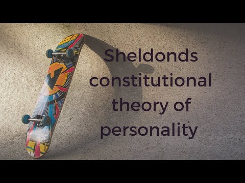 sheldon's constitutional theory #sheldon #personality - YouTube