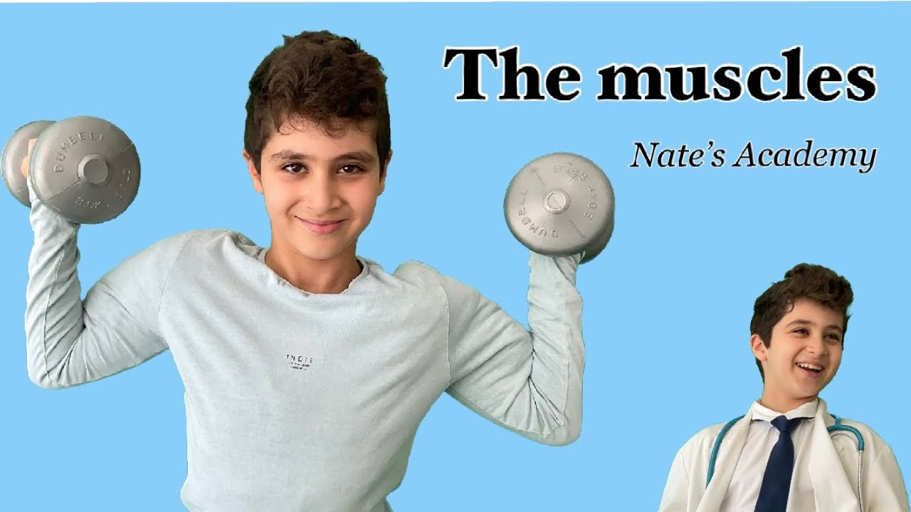 The Muscles- Nate’s Academy - YouTube