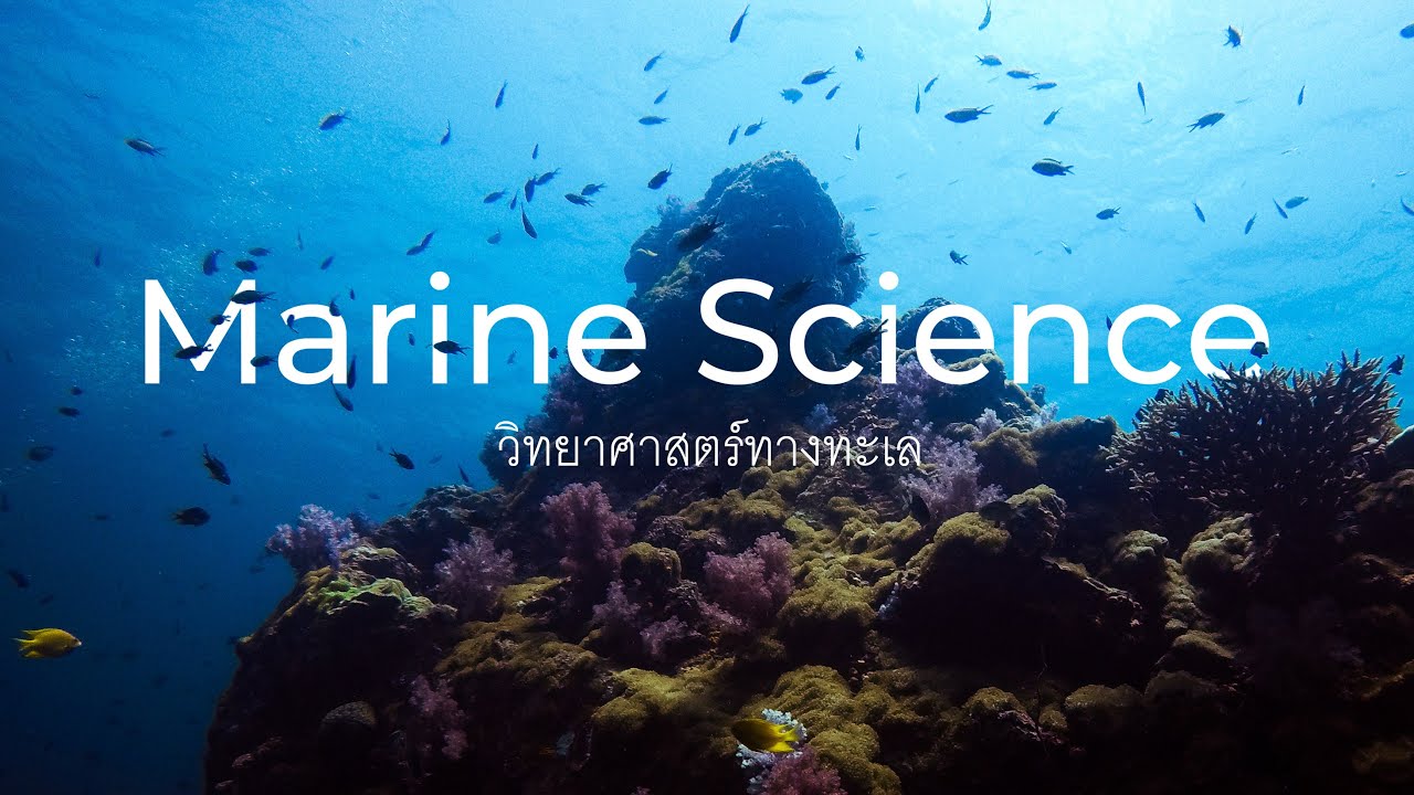 Marine science | วิทยาศาสตร์ทางทะเล - YouTube
