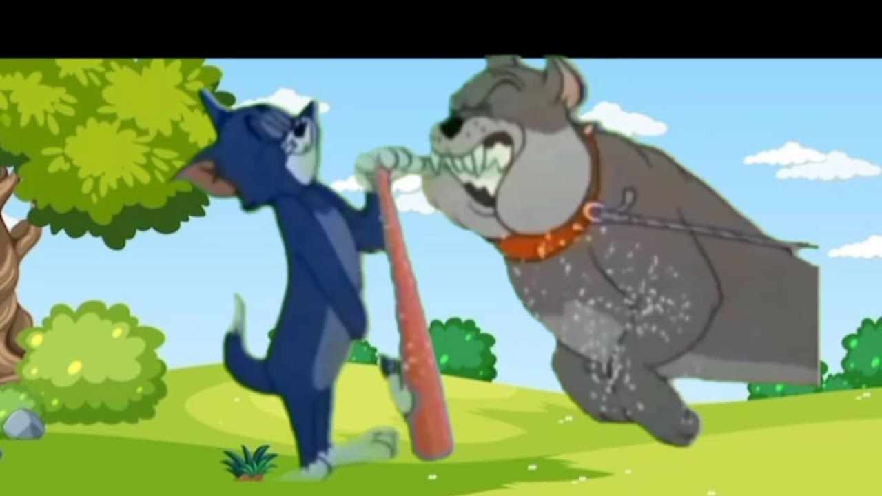 জেরির বুদ্ধিতে চান্দুকে শাস্তি দিল টম|Tom & jerry Bangla |Noakhali ...