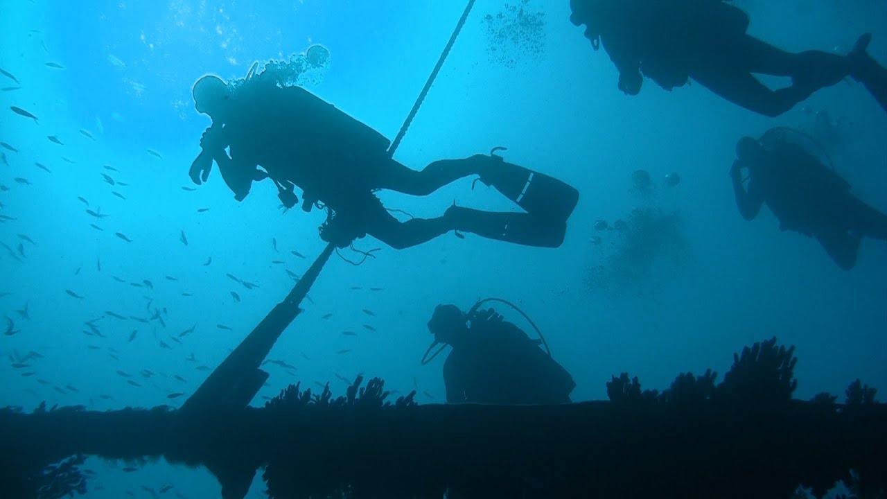 Plongée sur l'épave du Donator - Prosper Schiaffino - Porquerolles ...
