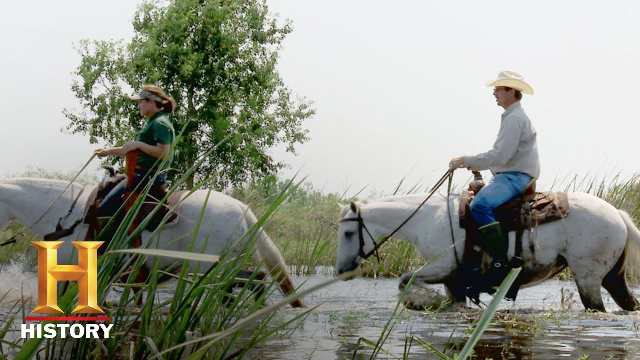 Swamp People: Kristi and Stringbean Save A Friend's Calves (Season 9 ...