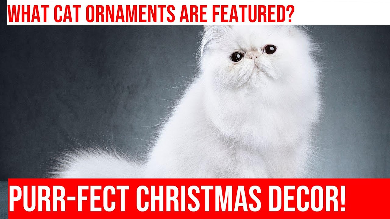 Cats Love Christmas: An Exploration of Ornamental Cats - YouTube