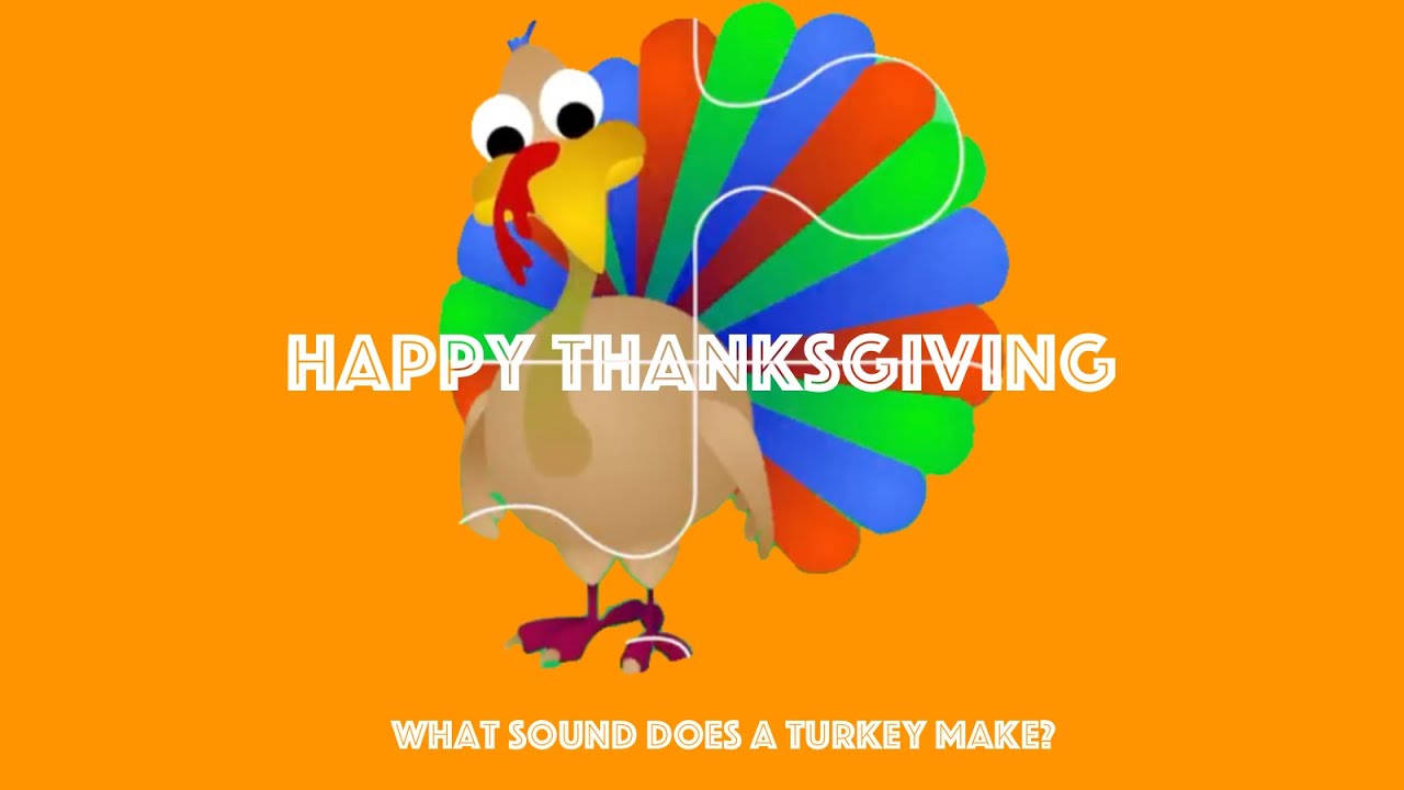 Thanksgiving Animal Sounds - YouTube