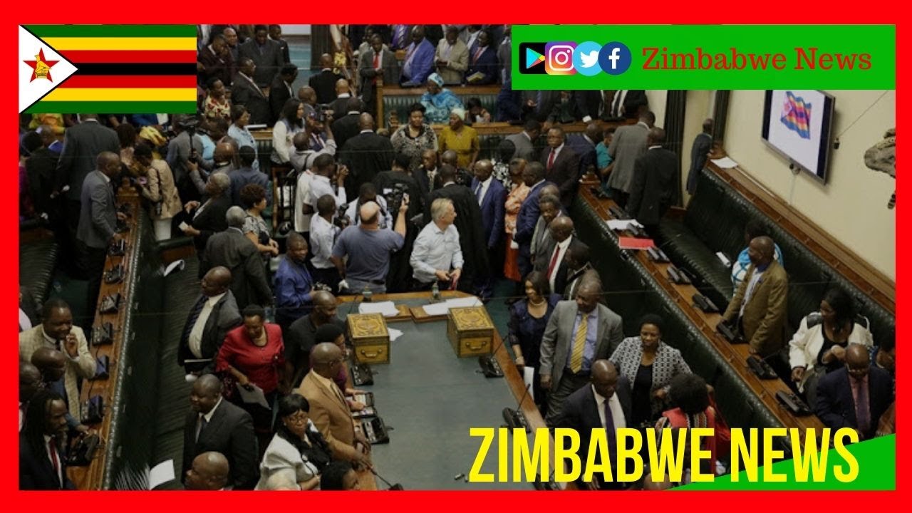 Zimbabwe News August 9th - YouTube
