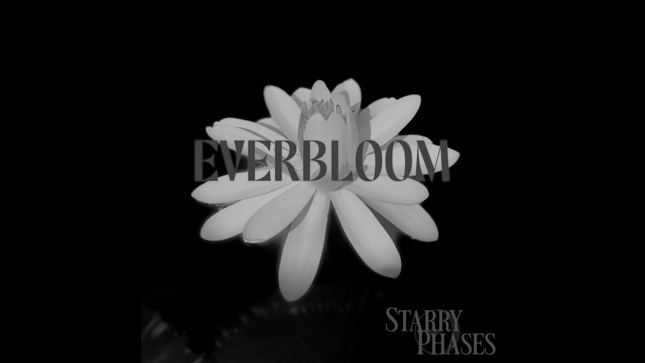 Starry Phases - Everbloom - YouTube