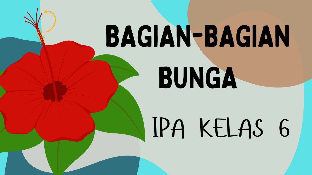 BAGIAN-BAGIAN BUNGA, IPA KELAS 6 #ipasd #pekembangbiakantumbuhan # ...