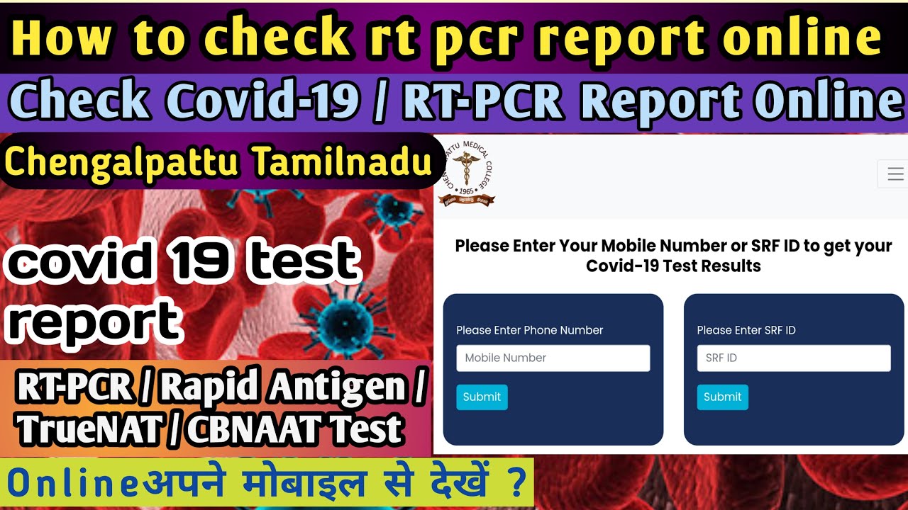 How to check rt pcr test report online | rt pcr test report check ...