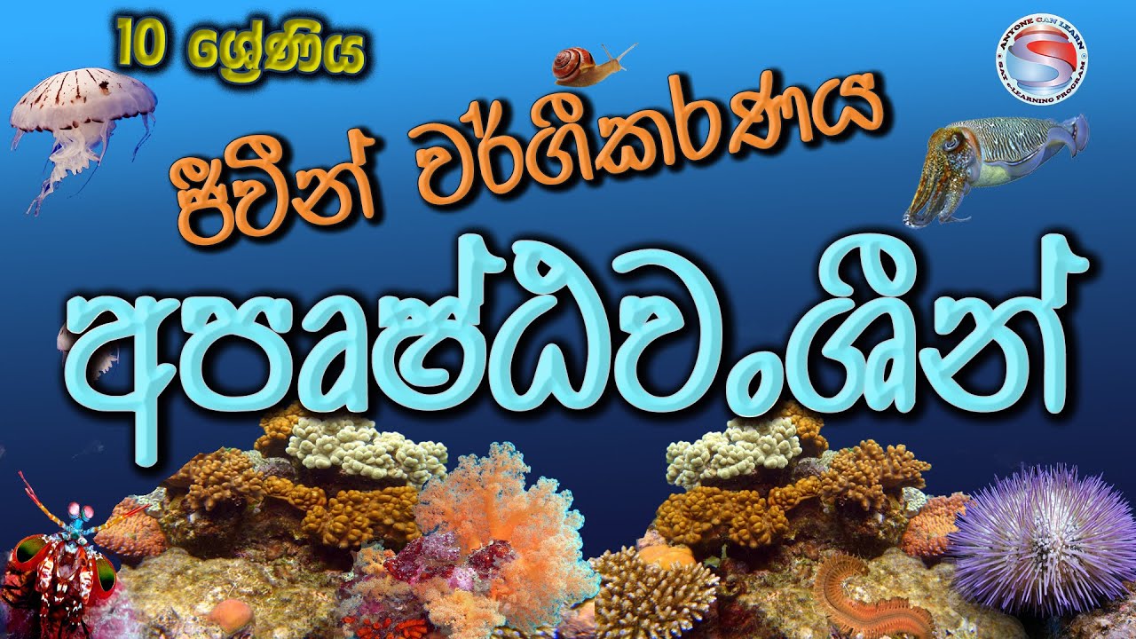 Grade 10 Science Sinhala |10 - 13 ඒකකය | ජීවින්ගේ වර්ගීකරණය ...