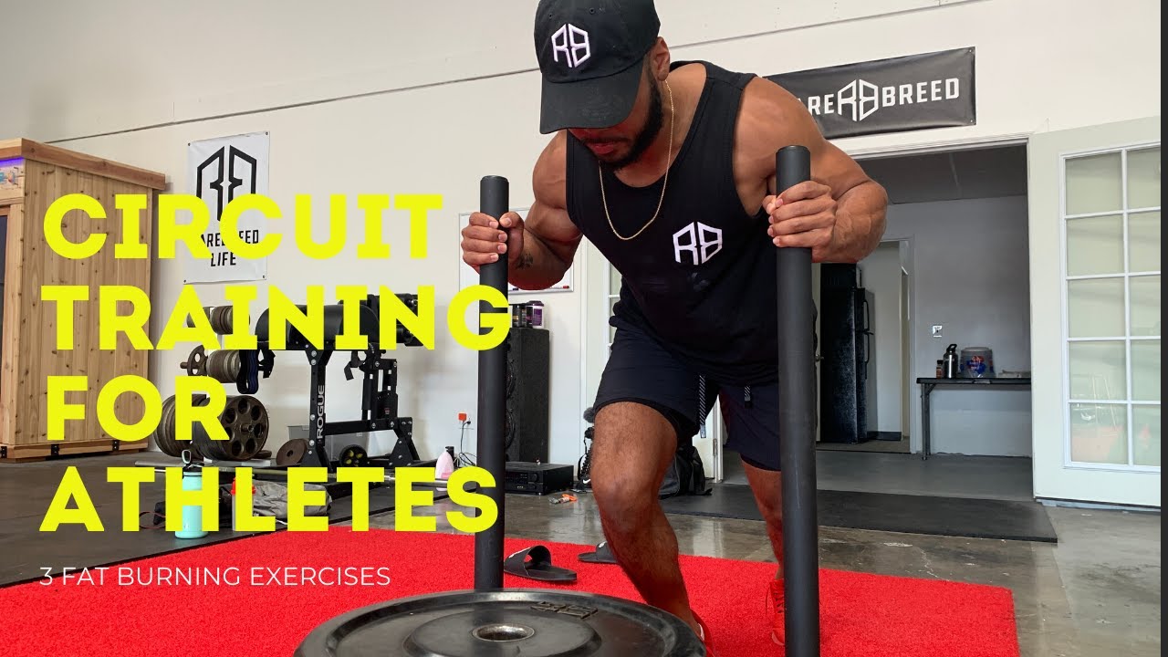30 Minute Circuit Training For Athletes - YouTube