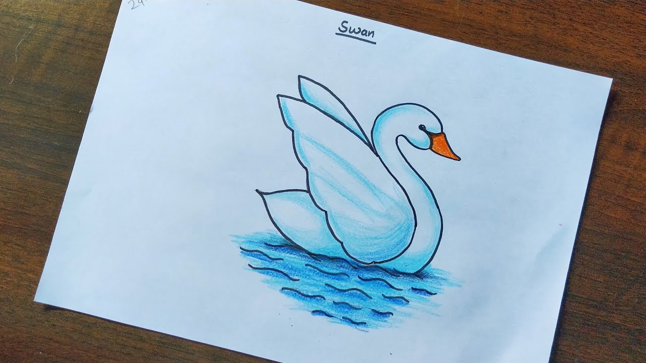 Swan Drawing - Naman Art School - YouTube