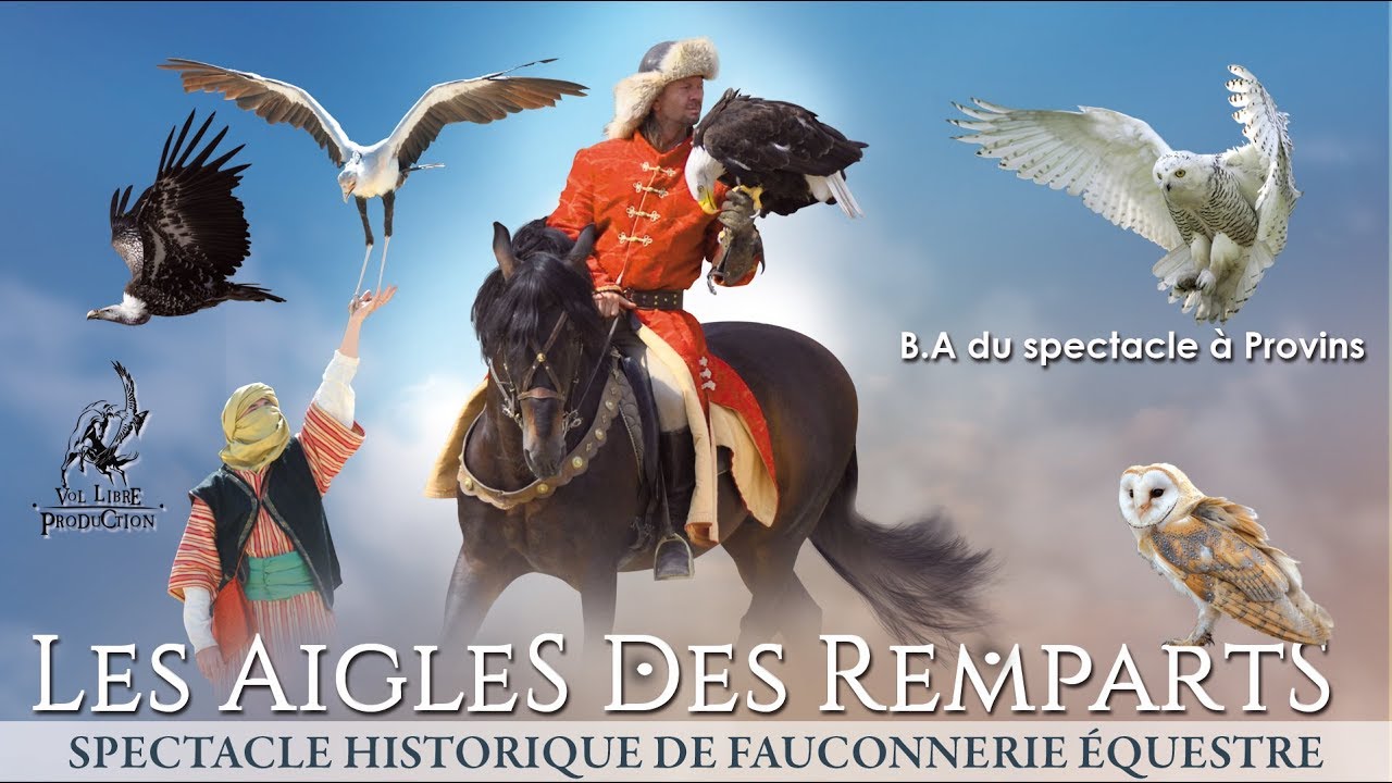 Les Aigles des Remparts - B.A spectacle - Provins 77 - YouTube