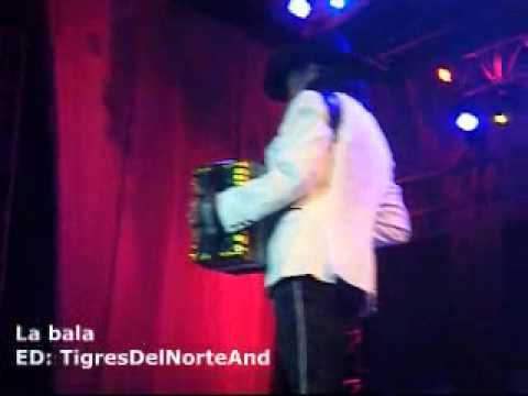 Los Tigres del Norte La bala en vivo en San Luis Potosi - YouTube