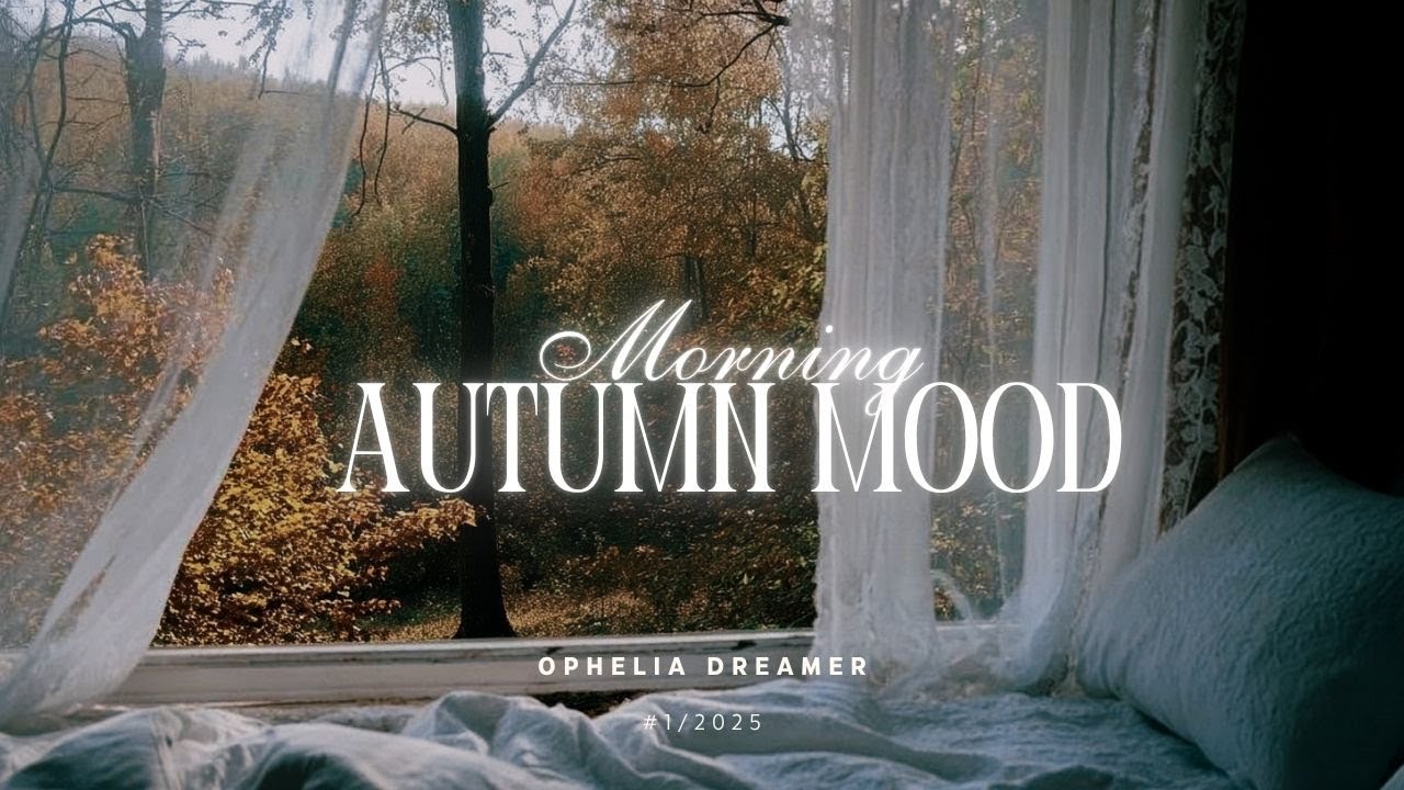 playlist for a quiet morning to heal your brain rot 🍂 november 2025 ...